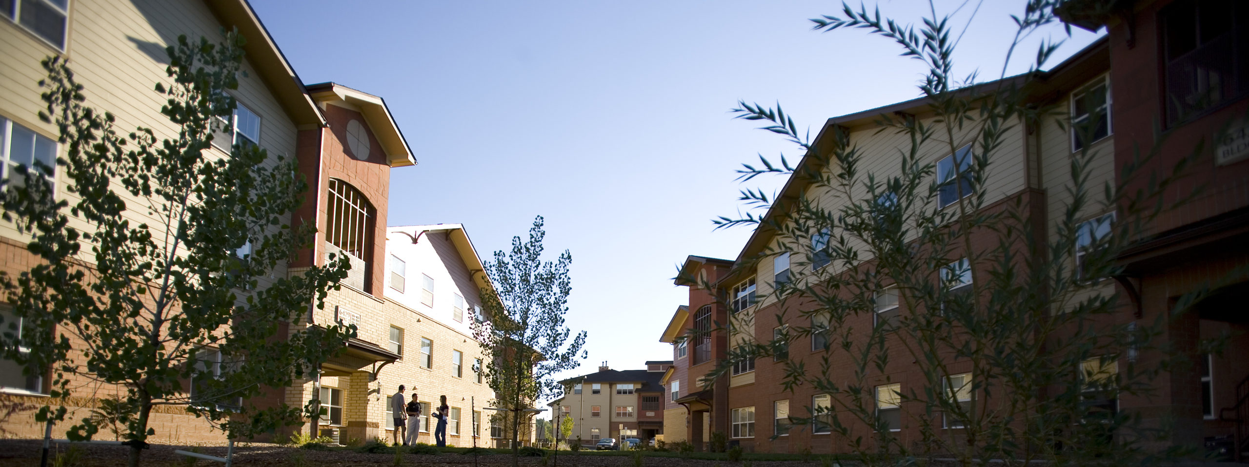 Wildfire | Denver Seminary